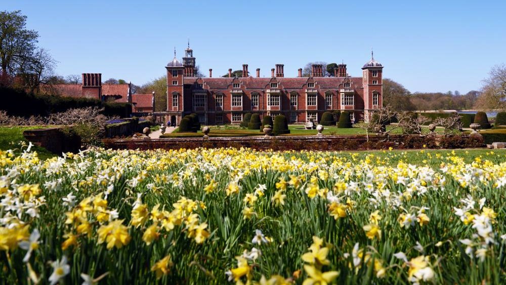 Six daffodil fields to visit this Spring | SPAR
